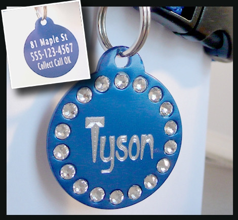 Custom Engraved Anodized Aluminum Pet ID Tag
