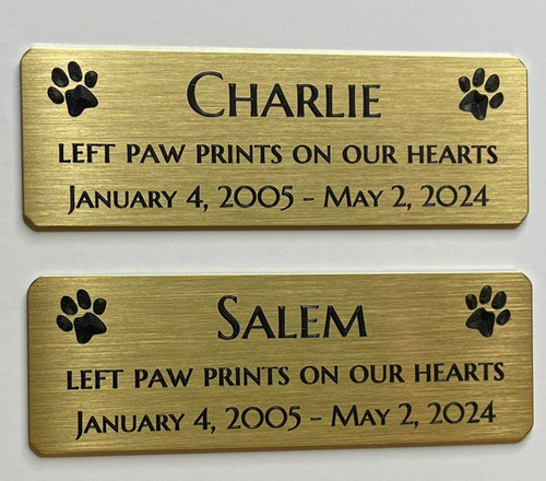 3" W x 1" H Custom Engraved Brass Plate
