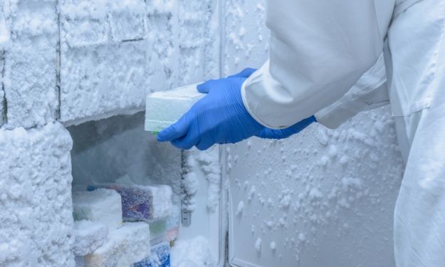 The Different Types of Medical and Lab Freezers - USA Lab