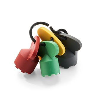 Zurn P6900-KEYS Cache Keys on Ring in Various Sizes