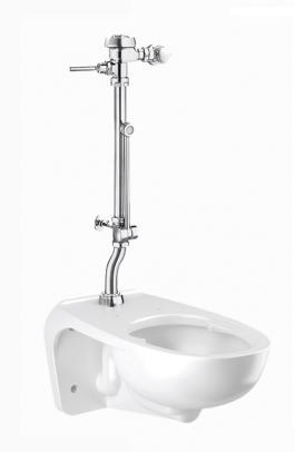 Sloan WETS-2450.2002 Water Closet and Flushometer
