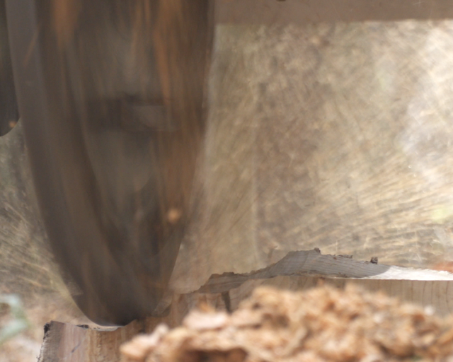 WG24 Stump Grinder