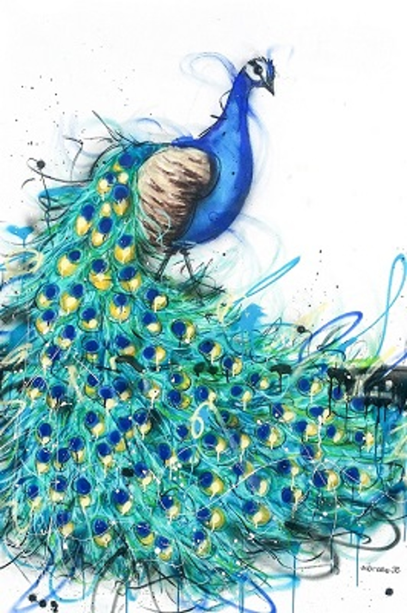 Plastic Canvas Peacock Patterns