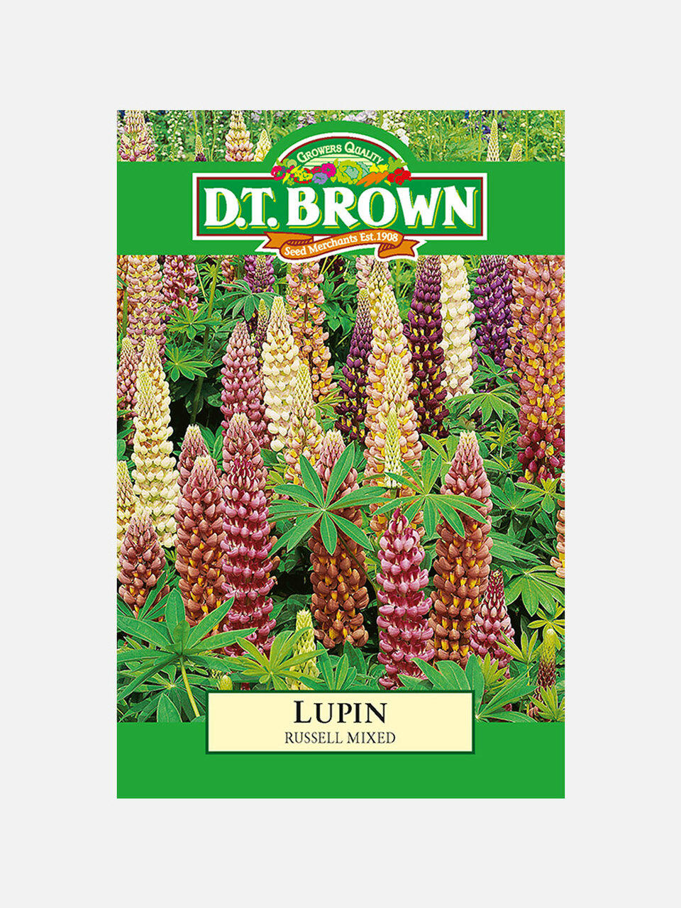 Lupin Russel Mix - Flower Seeds | Seeds | Shop Gubba