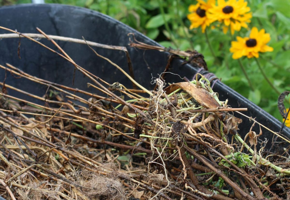 How to compost | A practical guide to hot & cold composting methods - Gubba