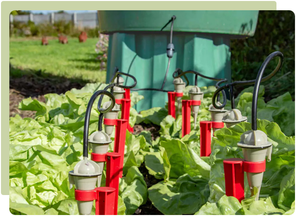 The benefits of irrigation for your home garden - Gubba