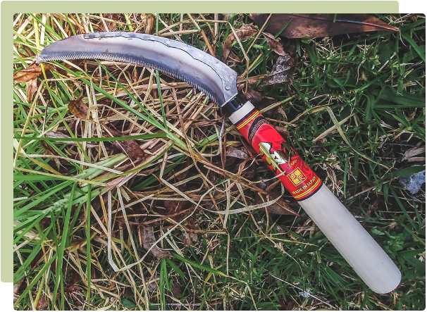 The Maruyoshi Flax Cutter - swiftly deals with fibrous plants! - Gubba