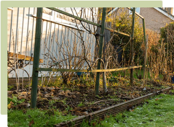 Improve your soil & prepare the vegetable garden for spring - Gubba