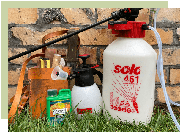 A guide to winter clean up sprays in the garden - Gubba