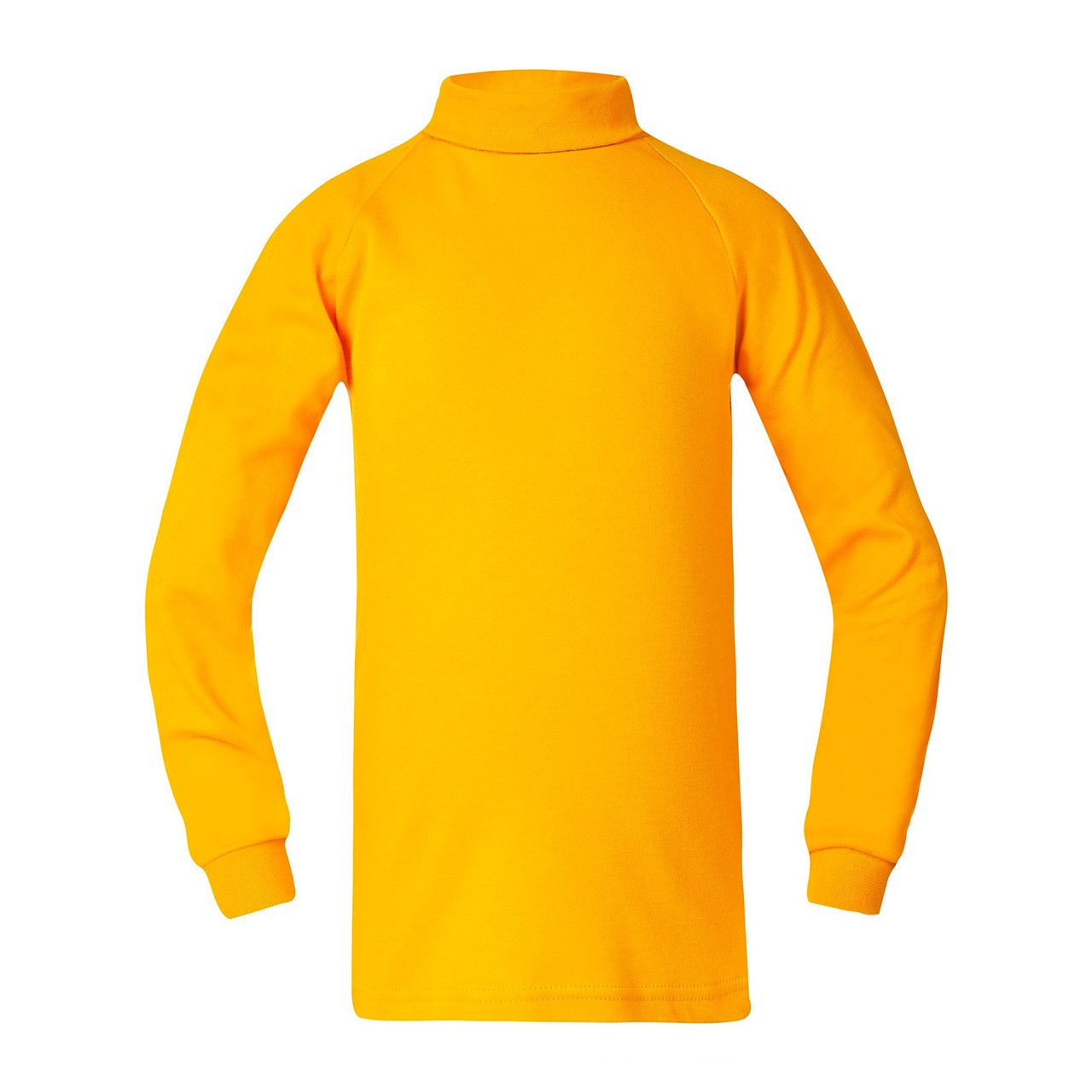 Buy kids skivvy roll-neck long sleeves top online