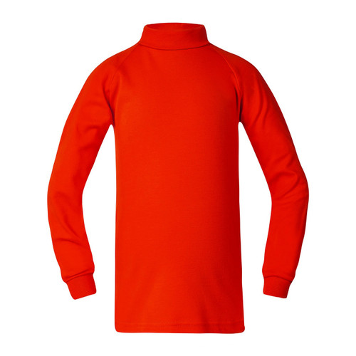 Buy kids skivvy roll-neck long sleeves top online