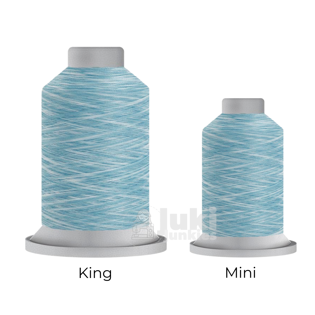 Affinity 40wt. Variegated Thread Carolina #60147