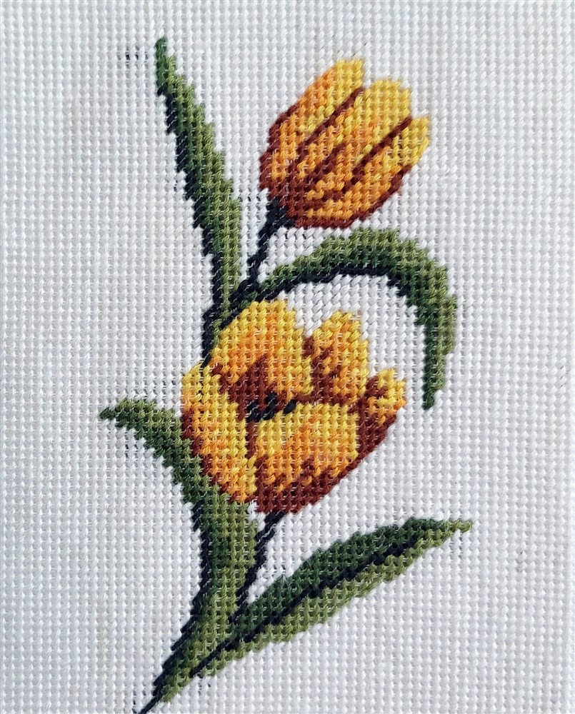 Tulip Tapestry Kit by Gobelin-L - MariesCrossStitch.co.uk