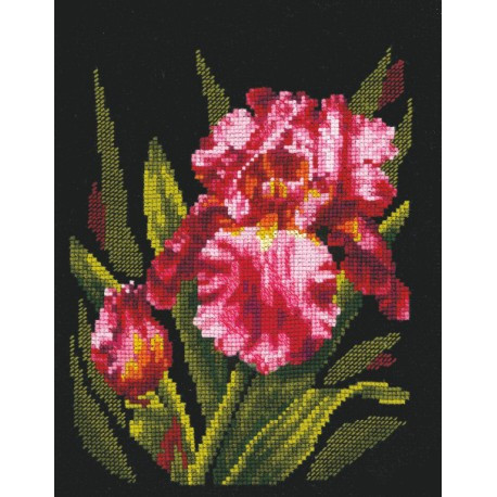 Velvet Iris Cross Stitch Kit By Andriana - MariesCrossStitch.co.uk