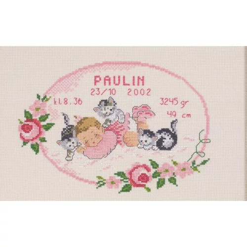 Kittens Birth Sampler Girl Counted Cross Stitch Kit By Permin ...