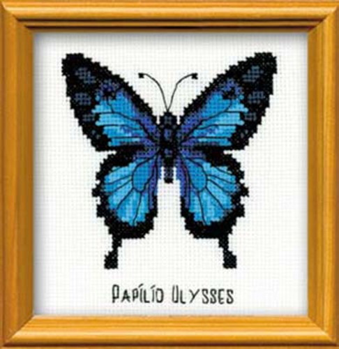 Ulysses Butterfly Cross Stitch Kit By Riolis | MariesCrossStitch.co.uk