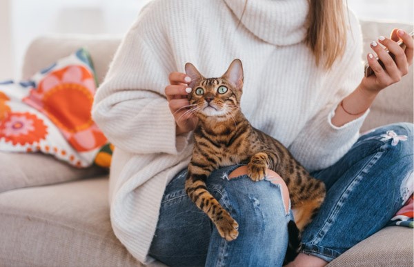 The Benefits Of Pet Ownership - Ready Pet Go