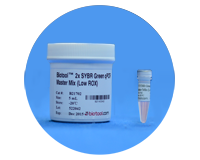 2x SYBR Green qPCR Master Mix (Low ROX) | B21702