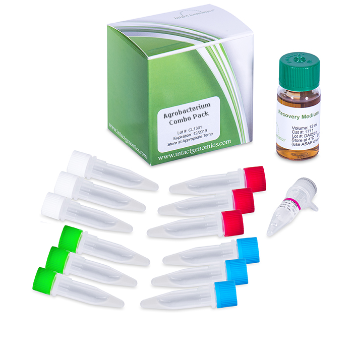 ElectroCompetent Agrobacterium Combo Pack | Intact Genomics