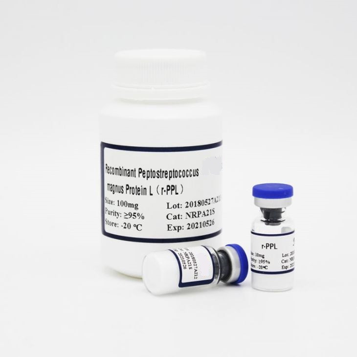 Recombinant Peptostreptococcus magnus Protein L (r-PPL) | Recombinant ...