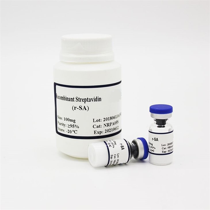 Recombinant Core Streptavidin 3 (r-cSA3 ) | Recombinant Proteins ...