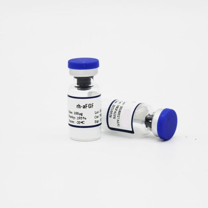 Recombinant Human Fibroblast Growth Factor-acidic (rh-aFGF ...