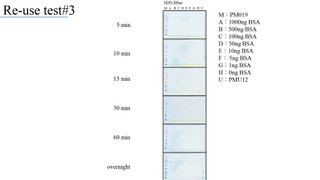 SDS-Blue™ | Coomassie Blue | Electrophoresis Gel Staining | Gentaur