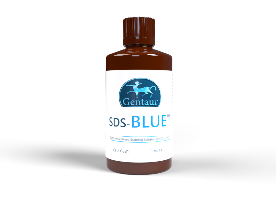 SDS-Blue™ | Coomassie Blue | Electrophoresis Gel Staining | Gentaur
