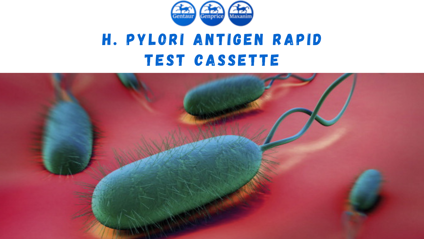 H. pylori Antigen Rapid Test Cassette - GENTAUR ONLINE