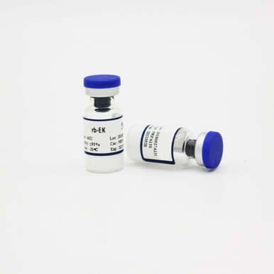 Recombinant Bovine Enterokinase HIS (rbEK-His) | Recombinant Proteins ...