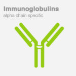 Antiserum to Human IgA (alpha chain specific) made in goat | 102002