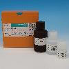 LDH Cytotoxicity Assay Kit | 18250-35