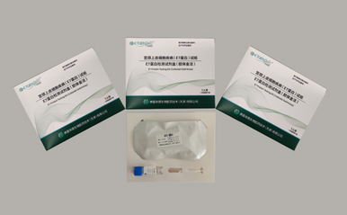 E7 Oncoprotein Rapid Test Kit | E7-FAMID | FAMID Biomedical Technology