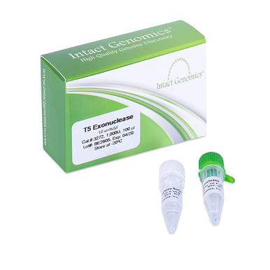 T5 Exonuclease | Intact Genomics