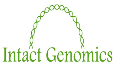 SynBac Competent Cells | Intact Genomics