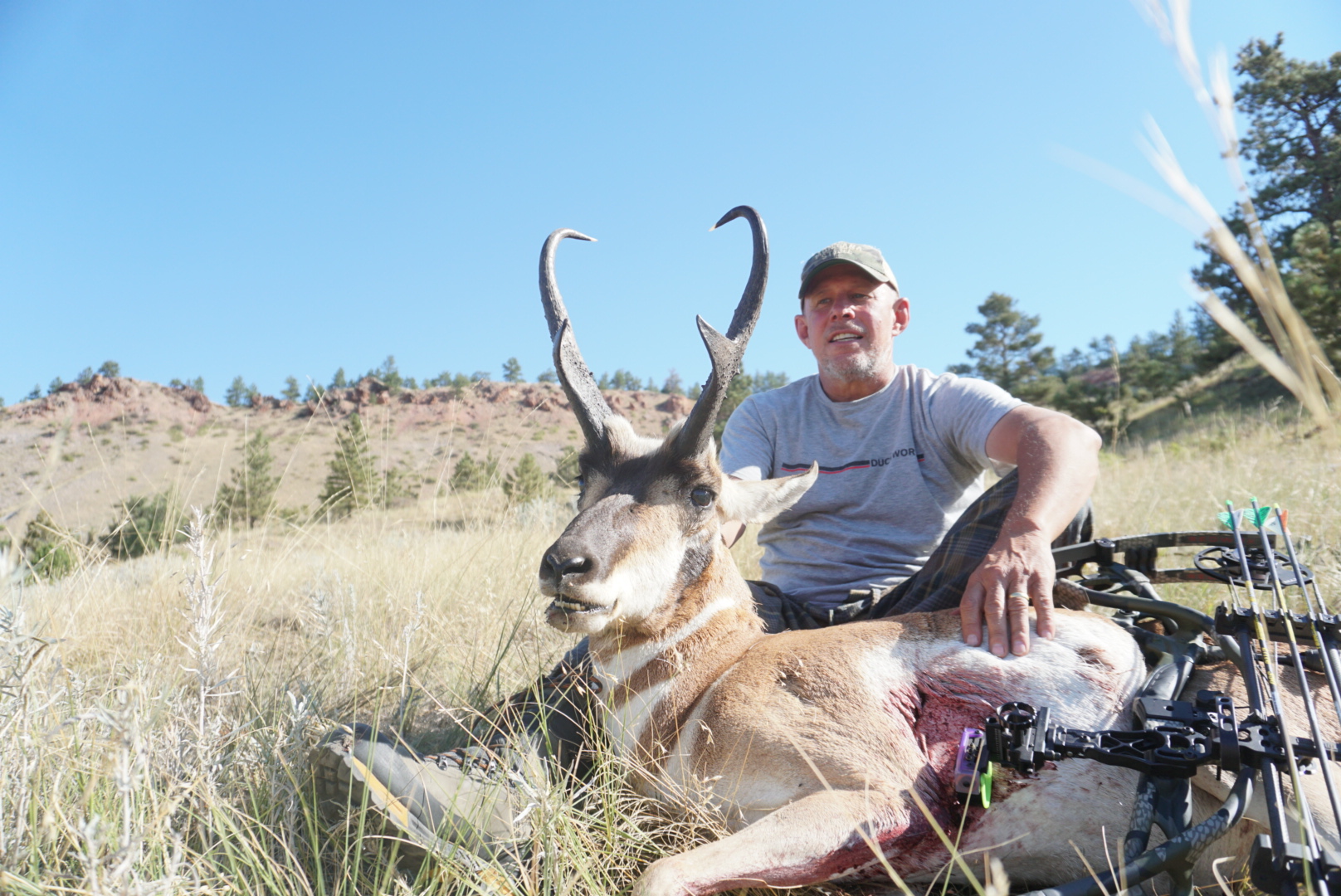 An Archery Antelope Story - Schnee