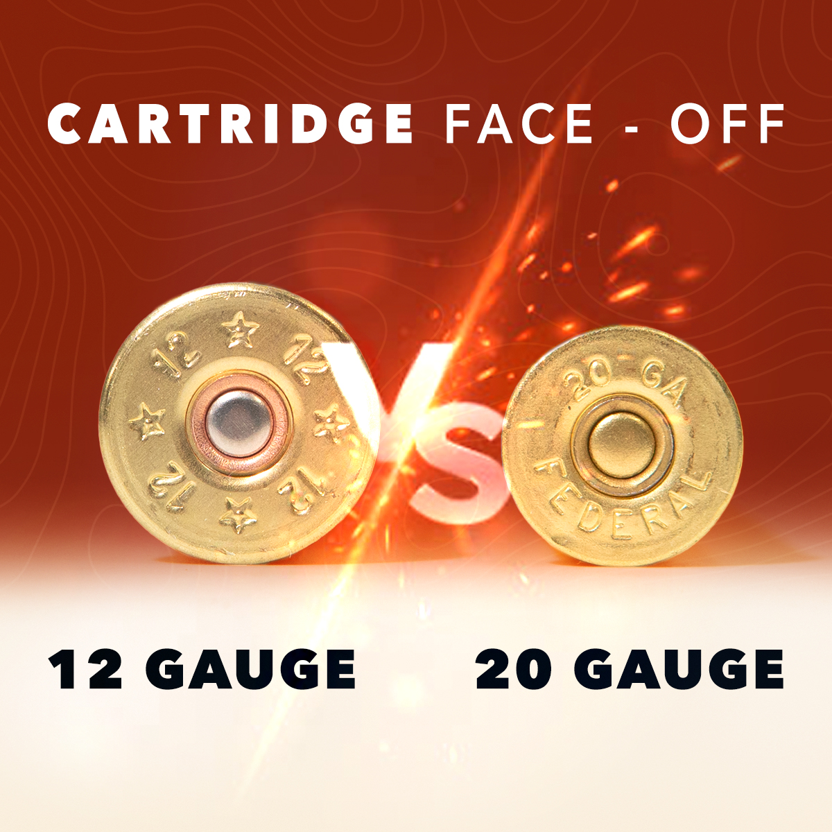 Cartridge Face Off: 12 Gauge vs. 20 Gauge - Schnee