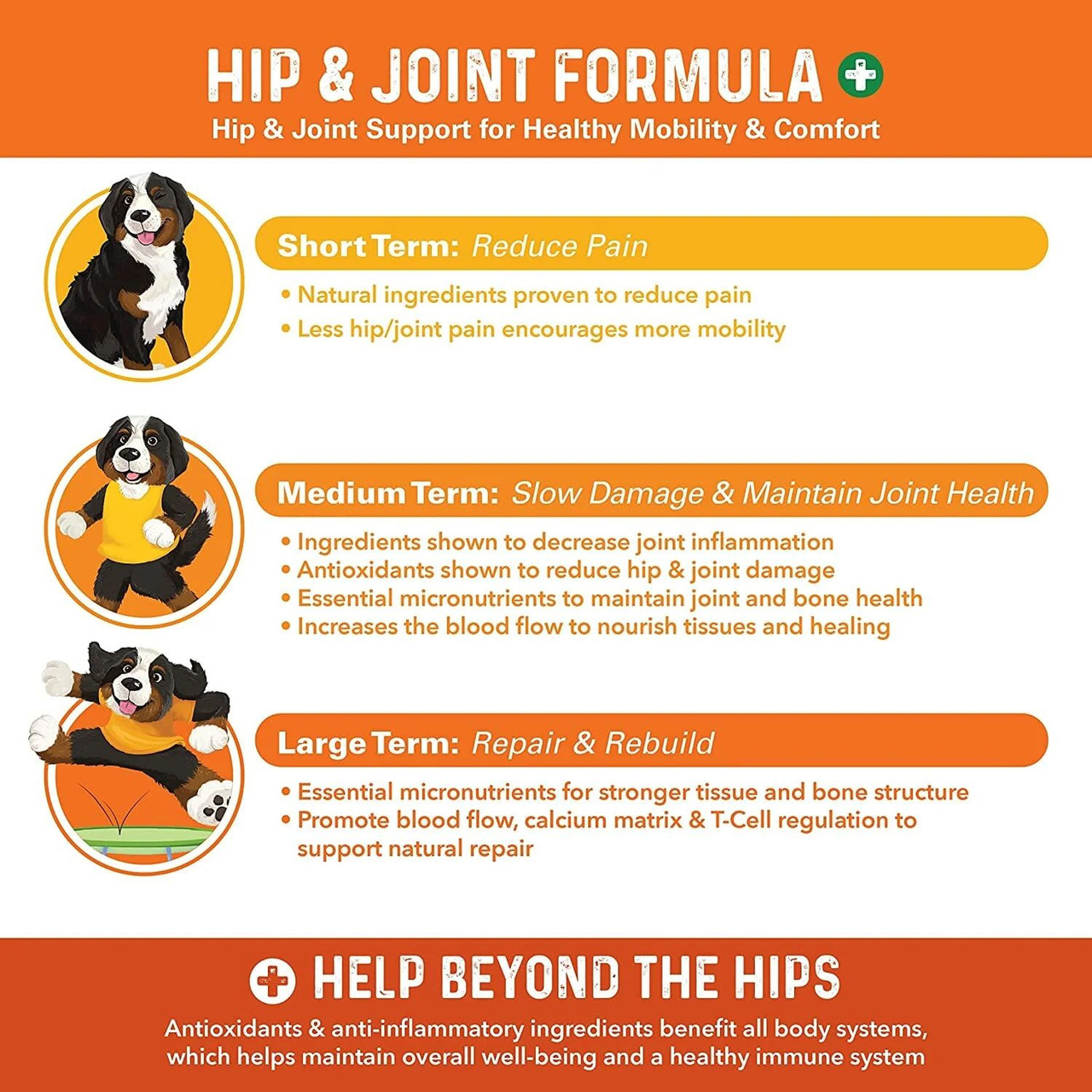Bernie's Healthy Hips - Hip & Joint Formula - Klearwater