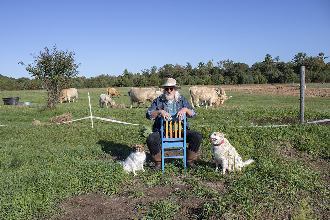 Part 1: The Fresh Food Revolution: Enhancing Your Pet's Health with ...