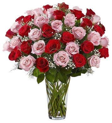 Send Dozen Pink Ecuadorian Roses Manila | Flower Shop PH