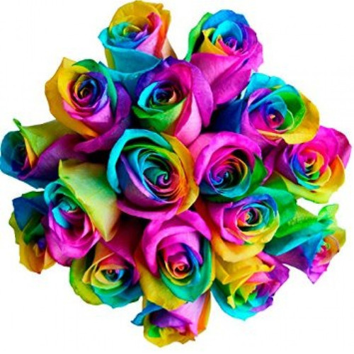18 Rainbow Ecuadorian Roses Vibrant Celebration Bouquet