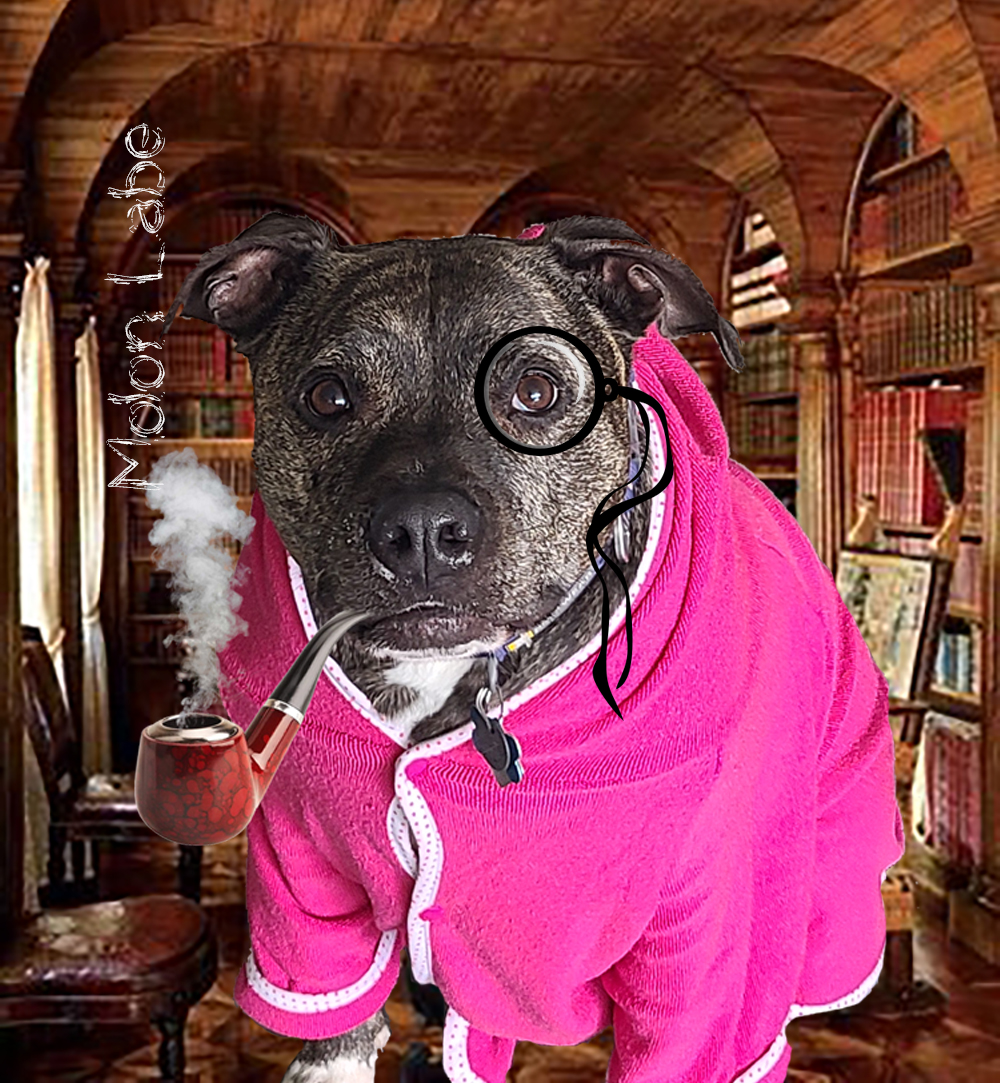 My Post-Meetup Newsletter - Savas Beatie