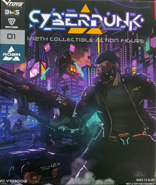 Cyberpunk: Robin (Deluxe Version) (1/12th Scale) - Boxed Figure - Toy ...