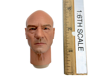Star Trek: First Contact Captain Jean-Luc Picard - Head (Molded Neck ...
