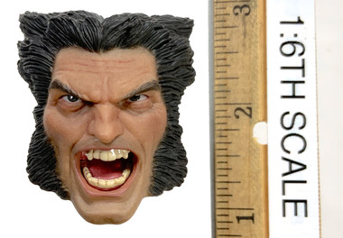 Angry Wolfman Set - Head (Angry Expression) (No Neck Joint) - Toy Anxiety