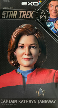 Star Trek: Voyager: Captain Kathryn Janeway - Boxed Figure - Toy Anxiety