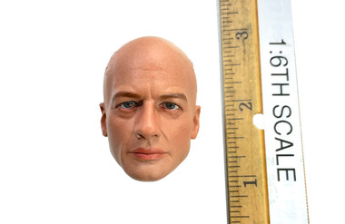 Star Trek: The Next Generation: Judge Q - Head (Bald) (No Neck Joint ...