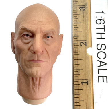 Star Trek: Picard: Admiral Jean-Luc Picard - Head (Molded Neck) - Toy ...