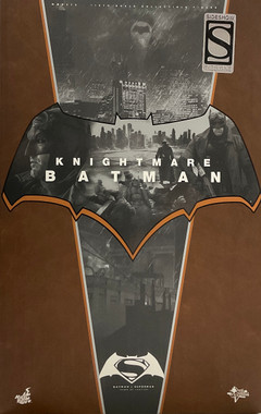 Batman v Superman: Knightmare Batman - Boxed Figure - Toy Anxiety