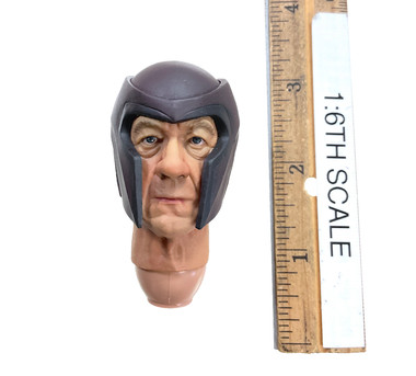 Figure Masters: Magneto - Head (Non-Removable Helmet) (Molded Neck ...